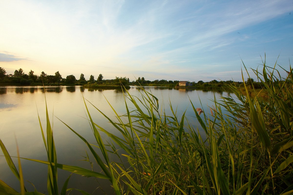 THE LOIRE ESTUARY - Terre d'estuaire